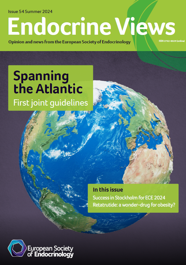 ESE Clinical Practice Guideline: Endocrine-related adverse conditions ...