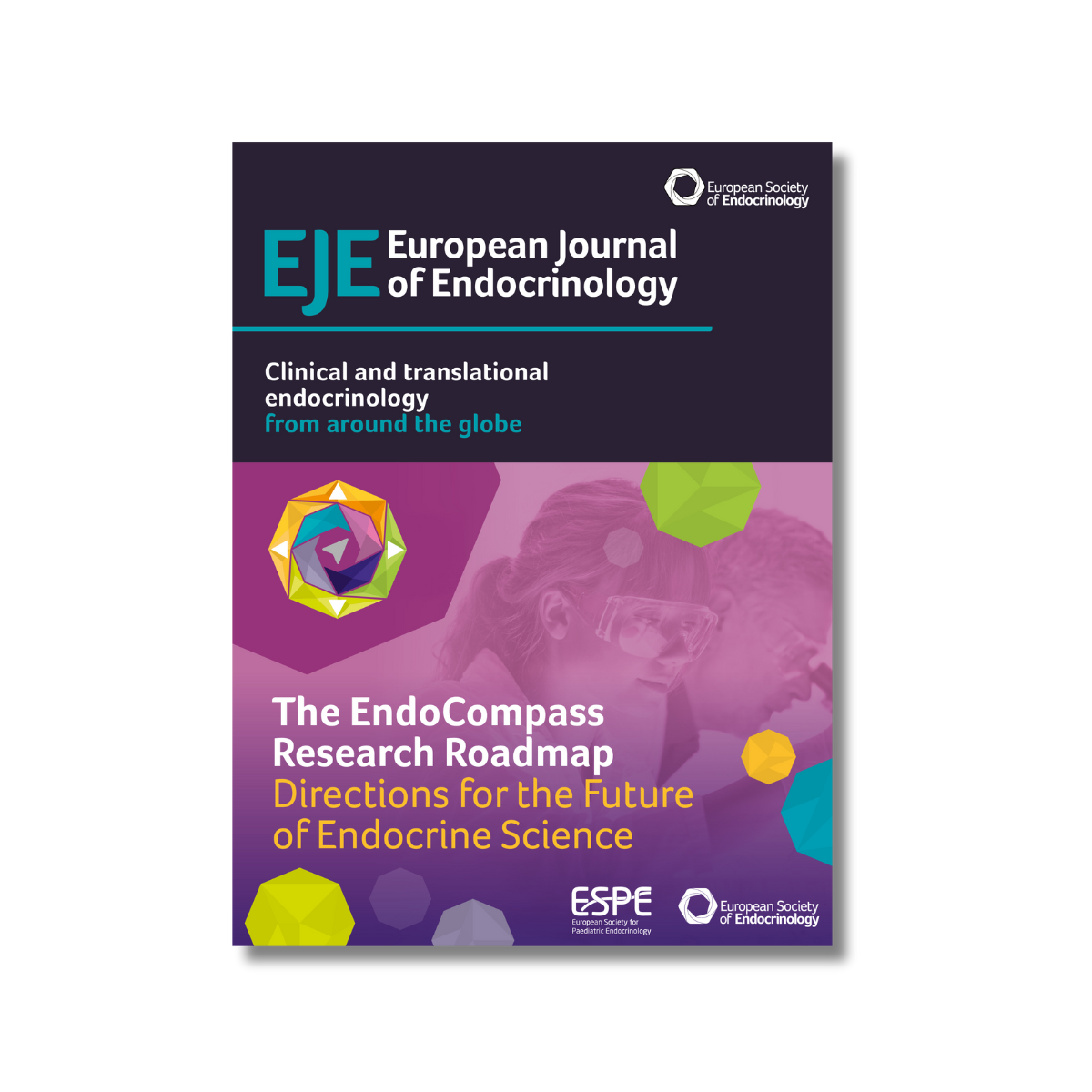 The EndoCompass Project: Research Roadmap for Better Hormone Health | ESE